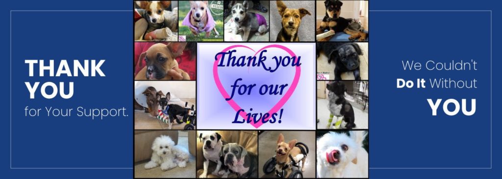 From the Heart Rescue – Caring for those no one else will